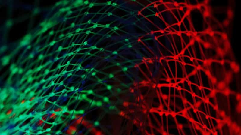 The Telegraph: Mall and the Man | Firstsource